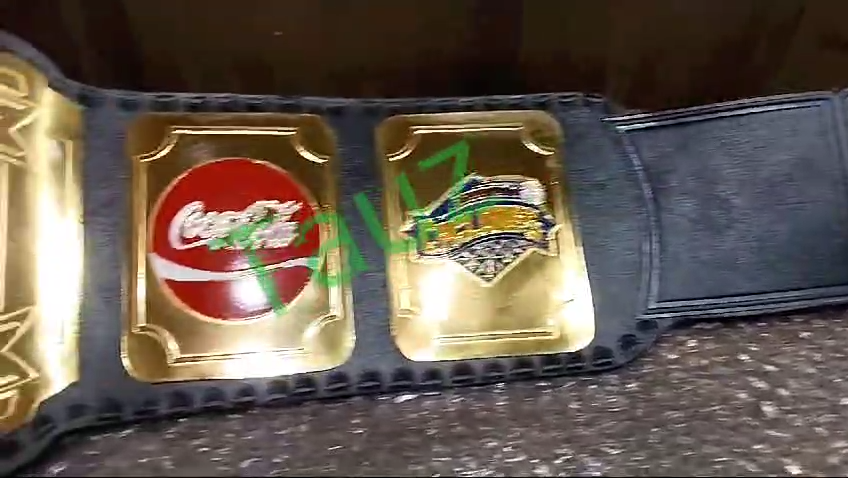 Custom Made championship belt Brass plates real leather | eBay