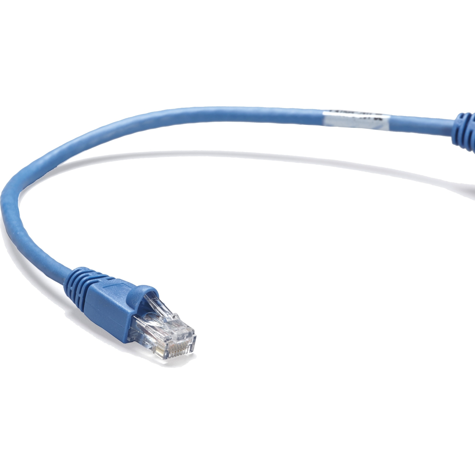 Black Box Cat6 Value Line Patch Cable, Stranded, Blue, 1-ft. [0.3-m ...