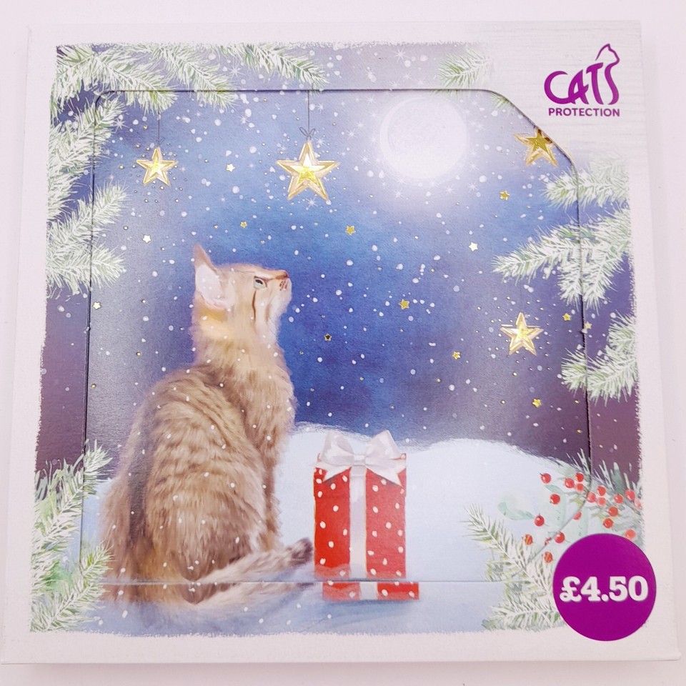 Cats Protection Christmas Cards Moonlight Cat 2024 pack of 10 with ...