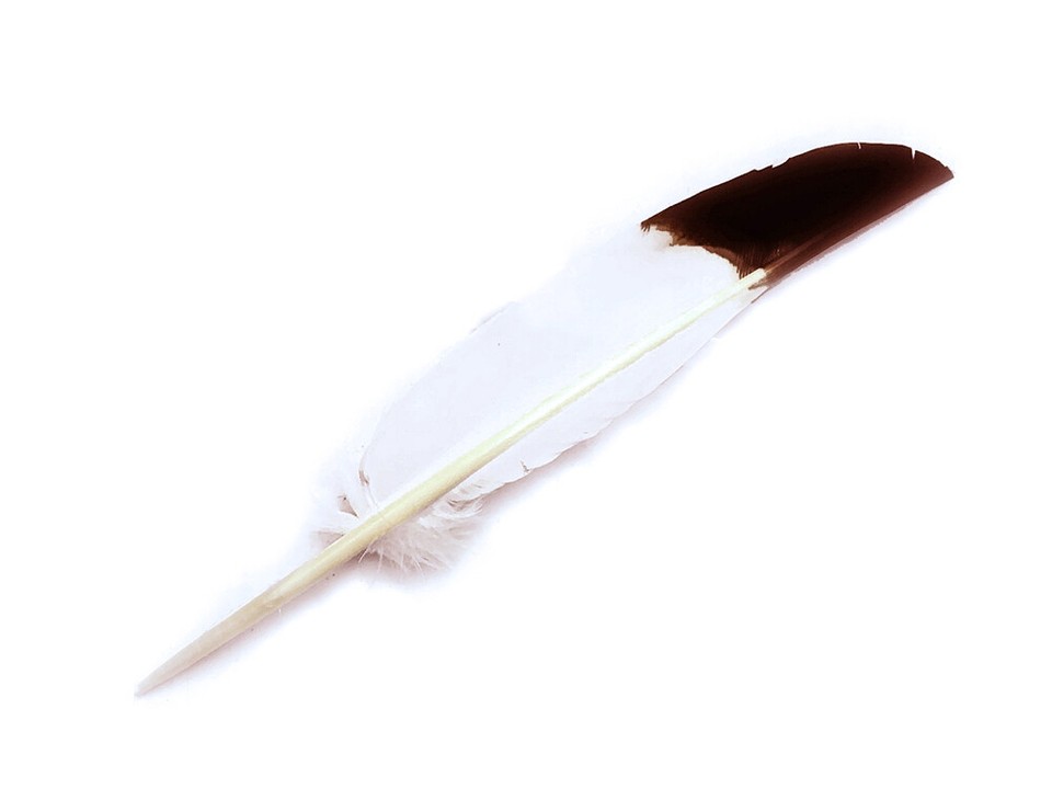 6 Pieces - Brown Tipped Turkey Pointers Imitation Eagle Wing Feathers ...