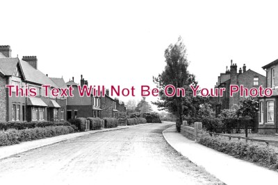 CH 1529 - Heyes Lane, Timperley, Cheshire c1905 | eBay UK
