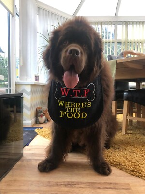 BIG DOG SLOBBER BIB W.T.F NEWFOUNDLANDS, ST BERNARDS & ALL SLOBBERY ...