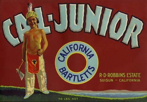 Cal Junior Brand Pear Crate Label - R D Robbins Estate - Suisun California | eBay