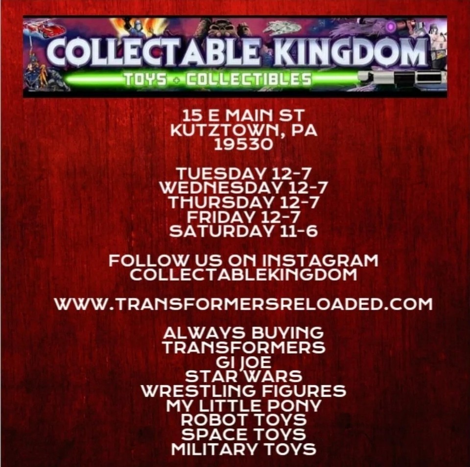 VINTAGE TRANSFORMERS GO-BOTS BEAST-BOT II PLAYSKOOL PANTHER 6" 2001 ...