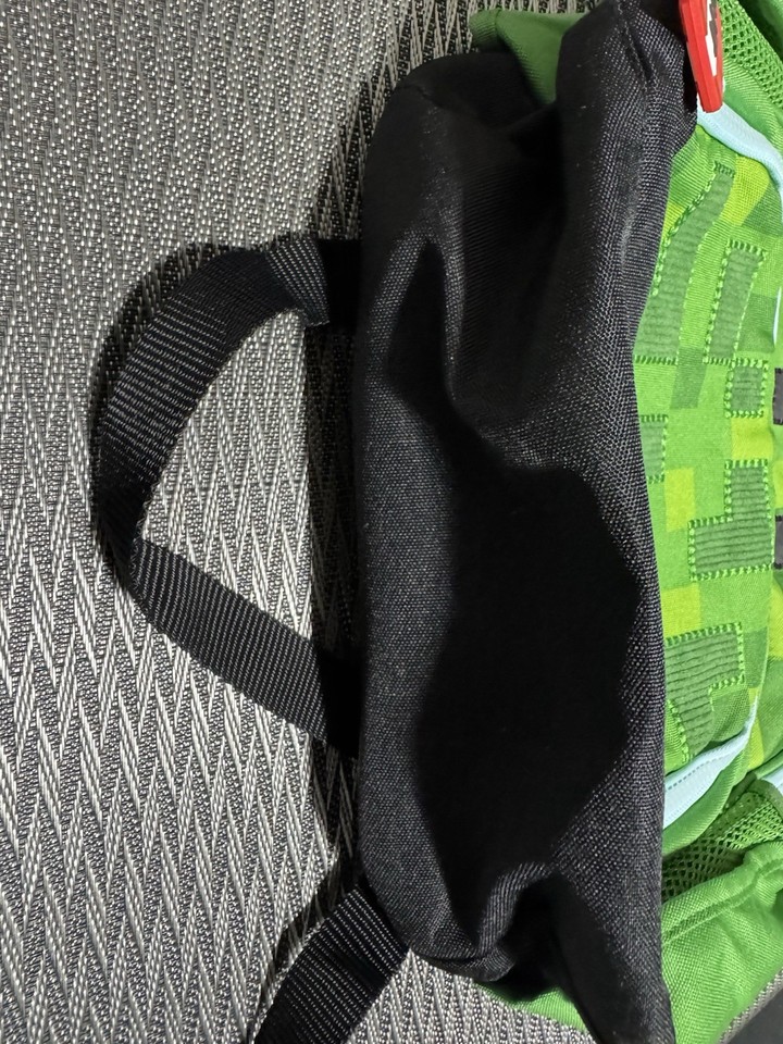 Pottery Barn Minecraft Creeper Backpack | eBay