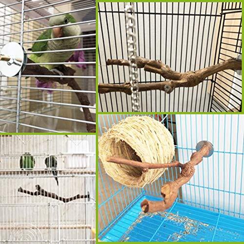 Parrot Perches,Natural Birdcages Stands Birds Perch Climbing Paw Types ...