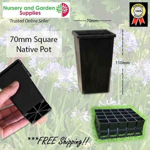 70mm Square Native Pot only - Pack of 100 | eBay Australia