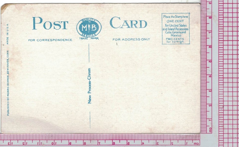 White Border Postcard CT. Derby, Elizabeth St. signs cars | eBay