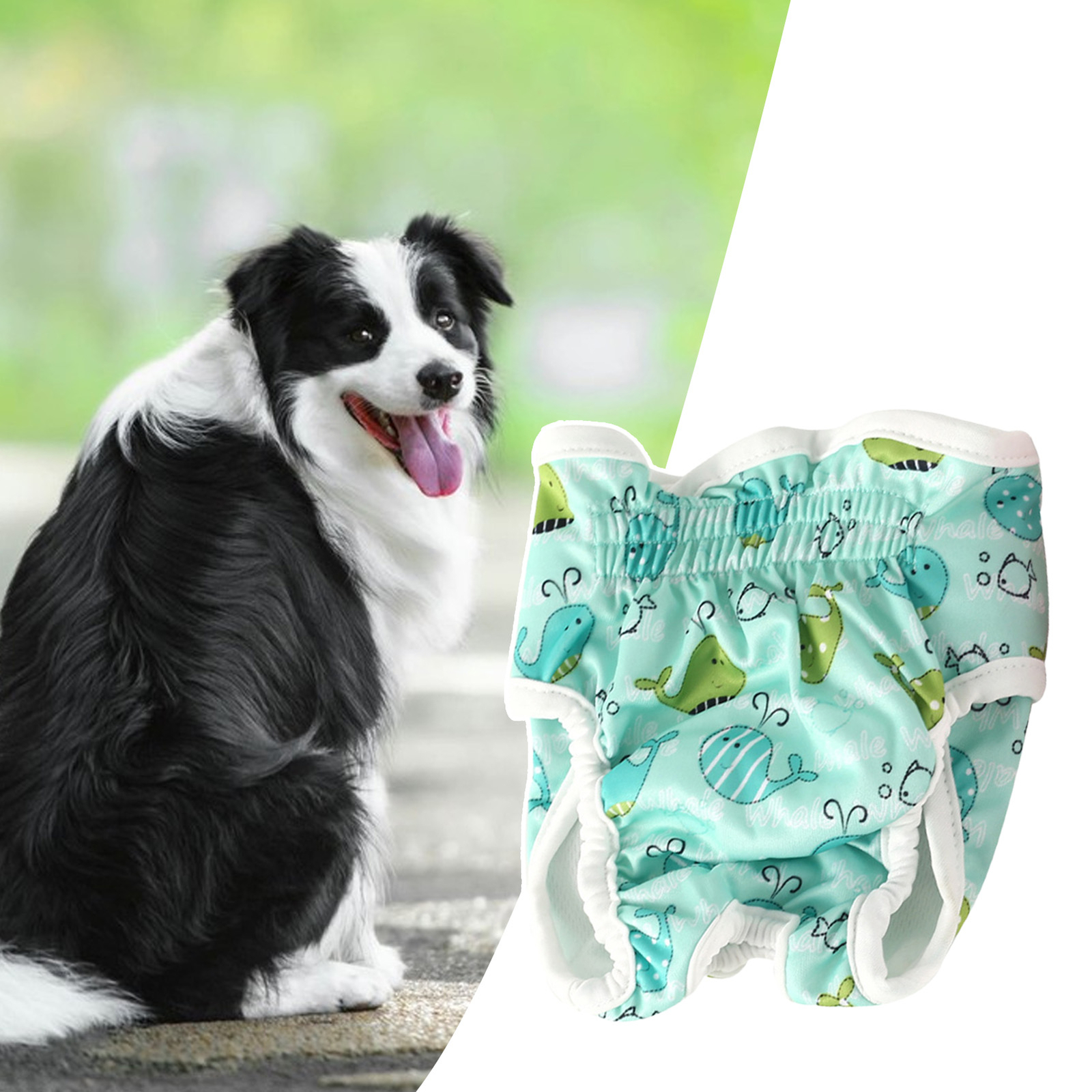 Pet Menstrual Pants Soft Prevent Infection Cartoon Whale Print Pet Dog ...