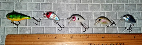 #D 1 pc. PERCH Darter Baitfish LINDY SHAD PLUS 4 PCS - tiny CCL ...