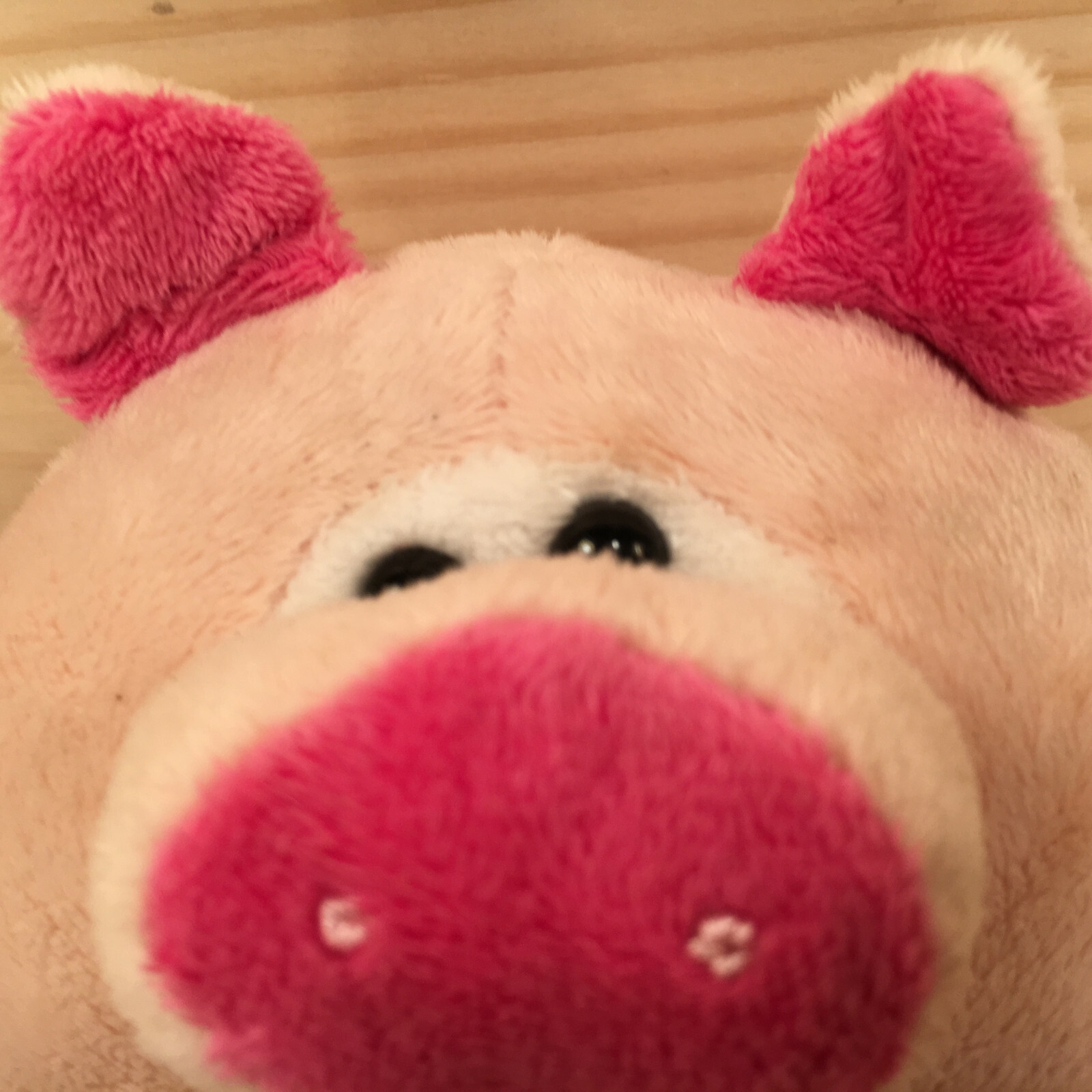 PINKIE THE PIGGY “Pink” Gorgeous Little Pig Animal Soft Toy Stuffed ...