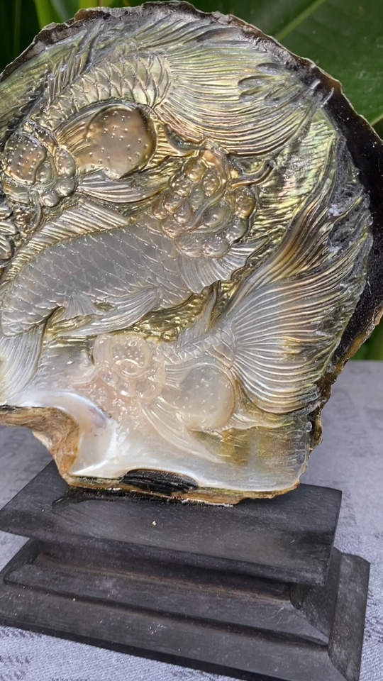 Beautiful Carved Seashell stunning Mother of pearl carved Shell incl ...