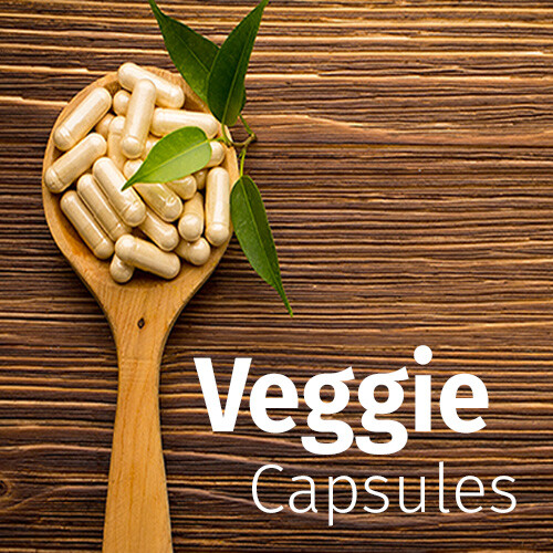 DR WAKDE'S Psyllium husk Capsules (Isabgol) | 60 Veg Caps | Ayurvedic ...