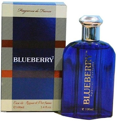 Parfum St. Louis Blueberry Eau De Parfum - 100 ML (Pour Hommes Et ...