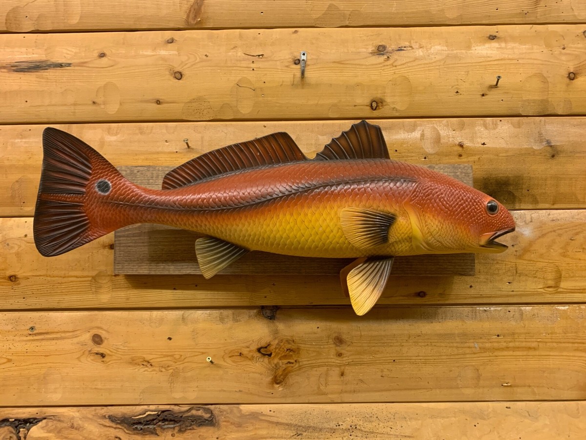 Fish Reproduction Mounts