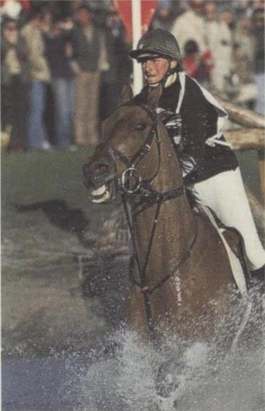 1986-87 A Question of Sport Game - Rachel Bayliss for sale online | eBay