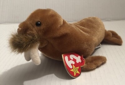 TY Beanie Baby - PAUL the Walrus (7 inch) | eBay