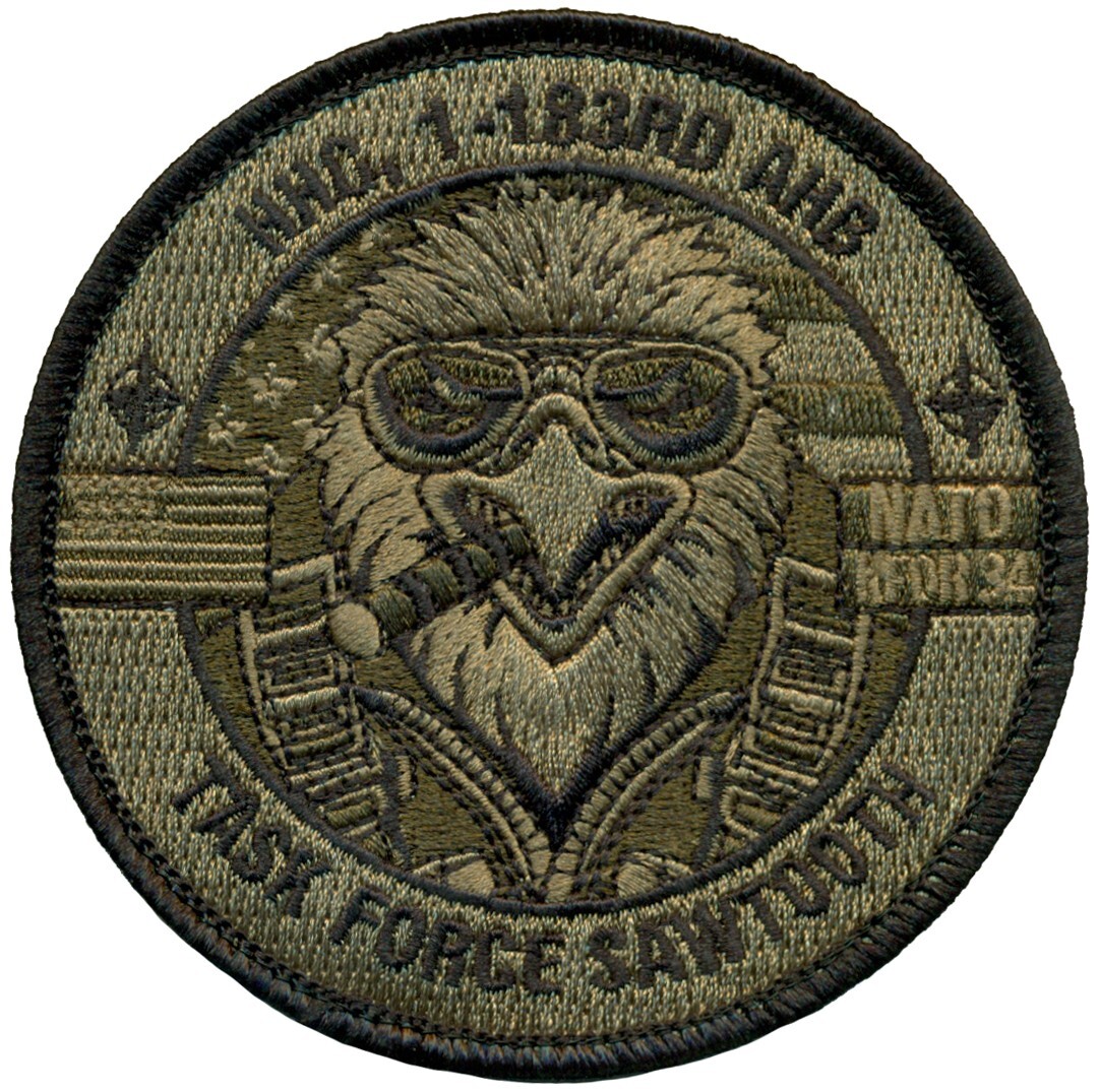 US ARMY HHC 1-183rd ASSAULT HELICOPTER BATTALION TASK FORCE SAWTOOTH ...