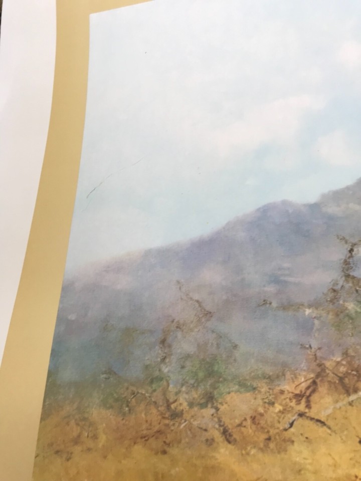 David Shepherd 1931 - 2017 signed print The Elephant and The Ant-Hill ...