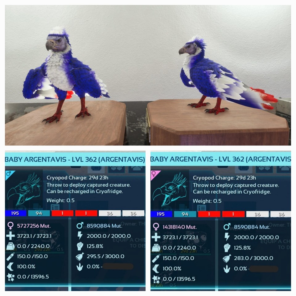 ARK ASCENDED PVE OFFICIAL PAIR BABY ARGY PATRIOT HIGH STATUS PC/XBOX ...