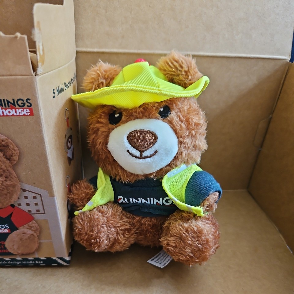 Bunnings Mystery Box Mini Bears Hi Vis Clothing Bear | eBay