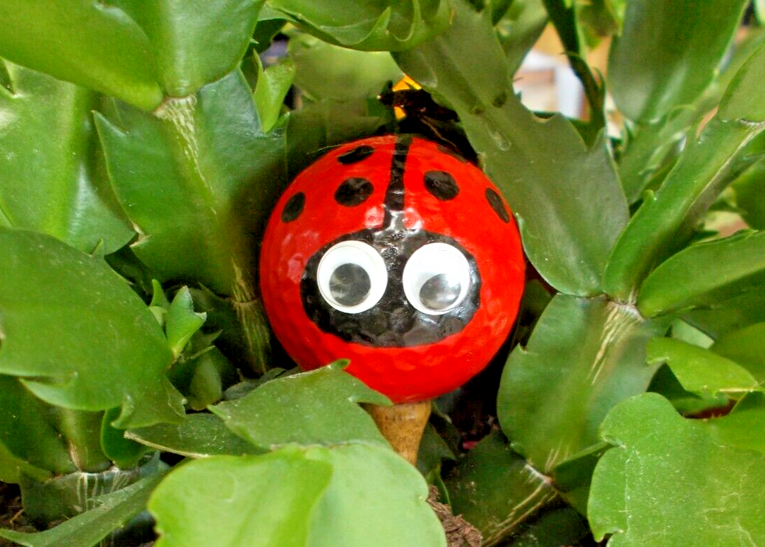LADYBUG Golf Ball W/Tee Plant Pick Flower Pot Decor Hand Painted Inside ...