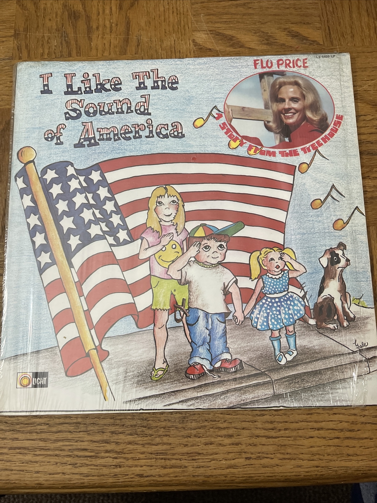 I Like The Sound Of America Flo Price Album | eBay