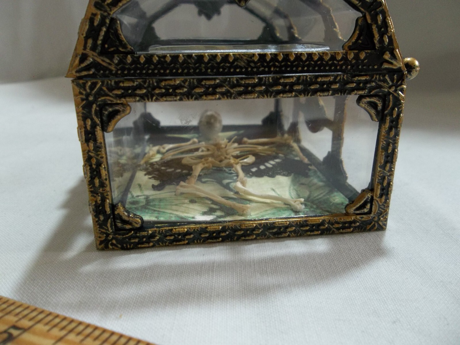 Dead Fairy Forensic Bones Fancy Display Box Sideshow Gaff Oddities ...