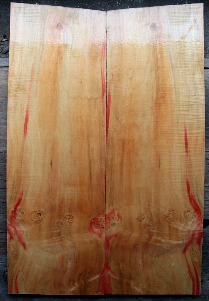 Curly red flame box elder maple drop top .32" thk bass guitar tonewood ...