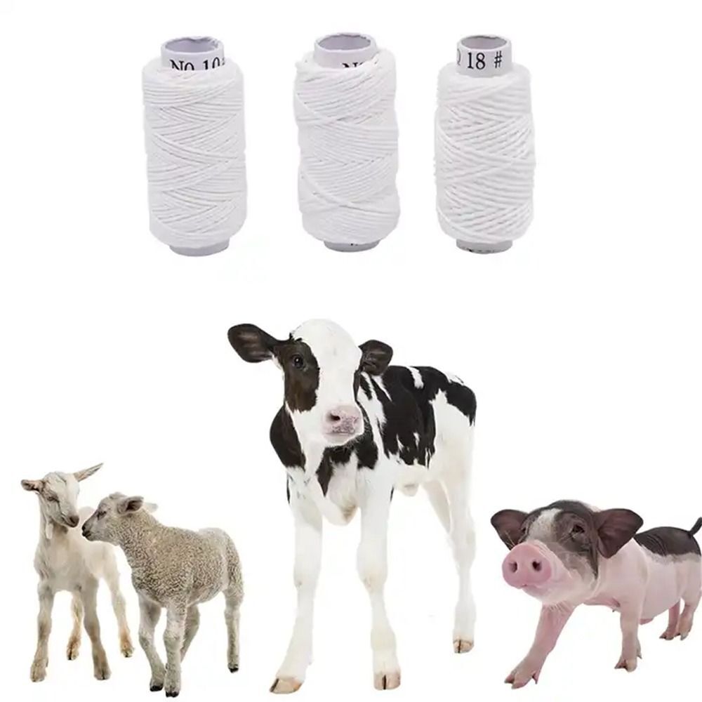 3PCS #18 Surgery Special Seam Silk Surgical Suture Line Threads Pig ...