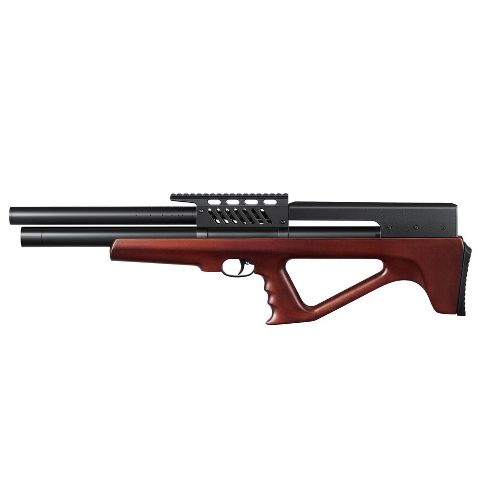 PINTY NEW PCP Pellet Gun 800 FPS Air Rifle .22 Caliber 9 Pellet Air ...