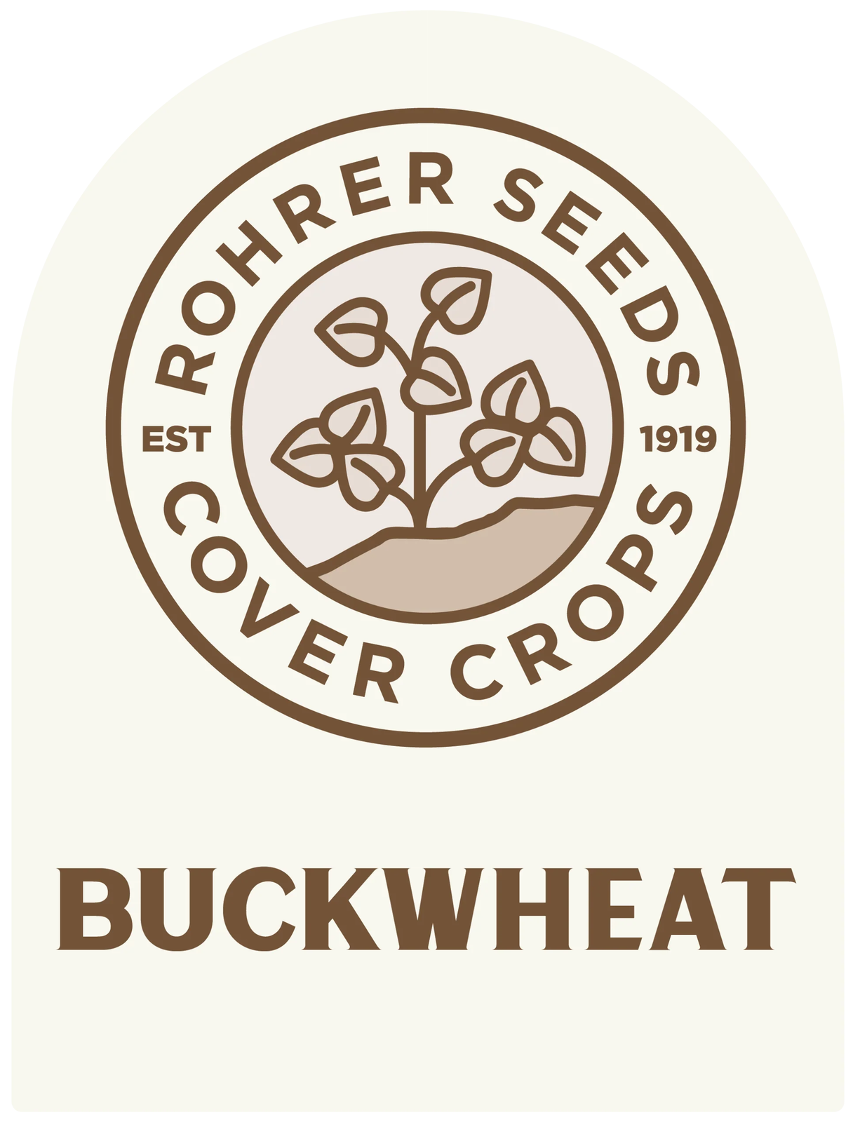 Buckwheat Seed (4lb.) | eBay