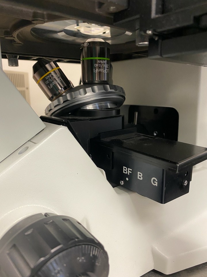 Olympus CKX41 Fluorescence + Phase Contrast Inverted Microscope | eBay
