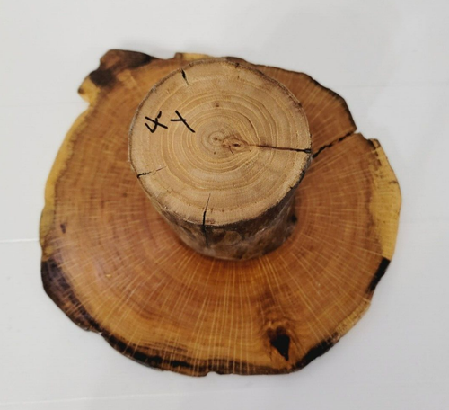 Sliced Wood Pedestal - Food Staging - Wood Riser | eBay