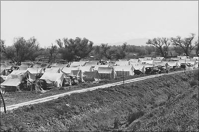 Poster, Many Sizes; Labor Contractor'S Camp For Field Labor During The ...