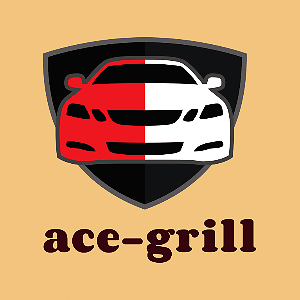 ace-grill | eBay Stores