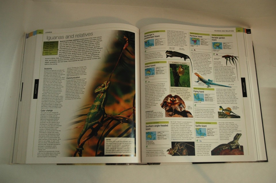 DK Smithsonian Animal: The Definitive Visual Guide Hardcover Penguin ...