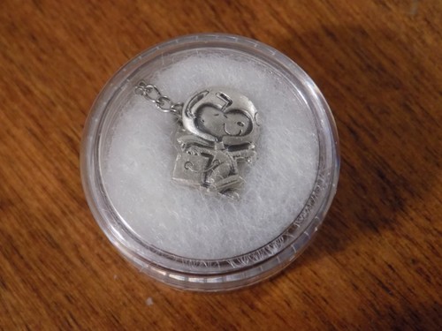 Silver Snoopy Award NASA Pin Rare Sterling R Possibly Flown | eBay