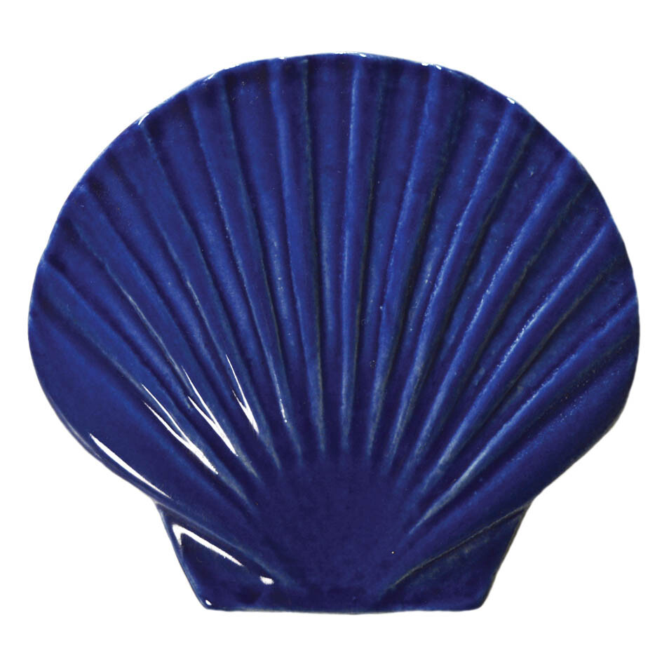 5" Porcelain Seashells for Swimming Pool or Wall - 4 colors ...