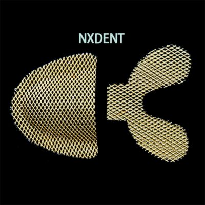 5pairs Denture Reinforcement Mesh Metal Palatal Reinforcement Mesh ...