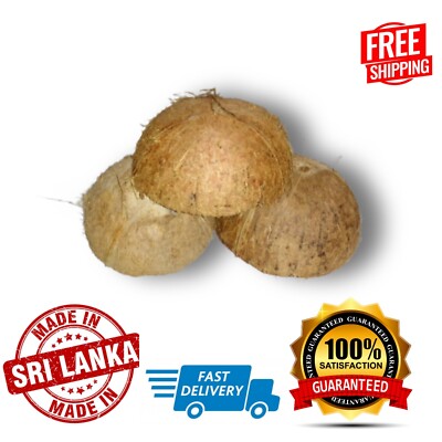 Coconut Shells 100% Natural Eco Friendly Ceylon Coconut Shells | eBay
