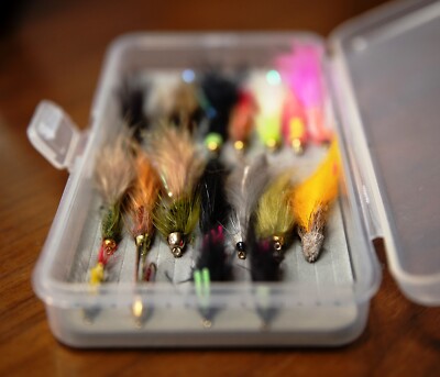 Trout/Steelhead Bass/Panfish Stillwater Streamers 18 Piece Assortment ...