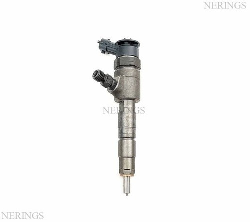 Fuel injector CITROËN C3 II 1.4 HDi 70 0445110339 | eBay Australia