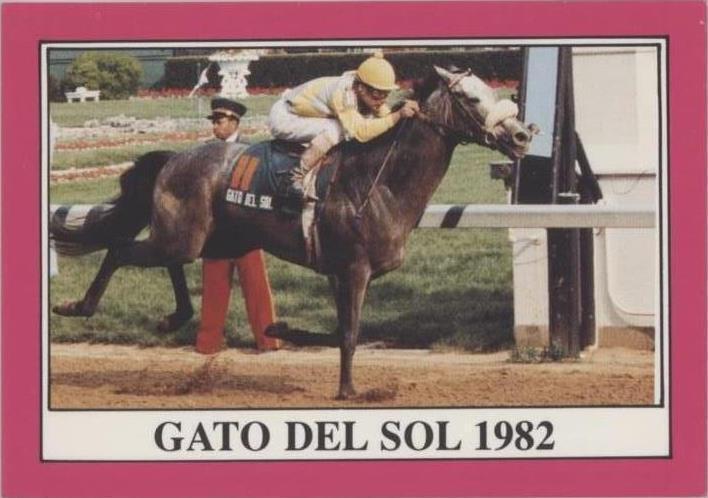 1991 Horse Star Kentucky Derby - Gato del Sol #108 for sale online | eBay