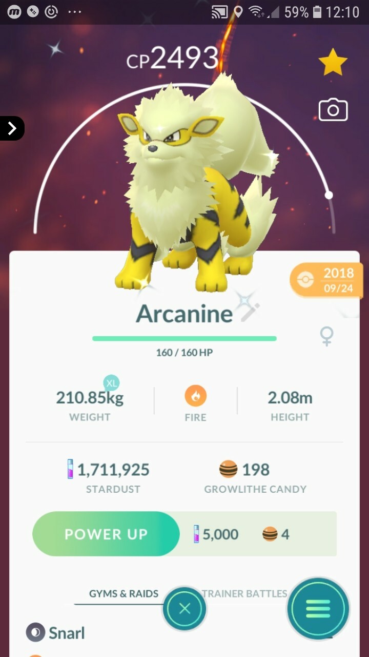 Pokémon Shiny Arcanine ( Growlithe Evolution ) GO | eBay