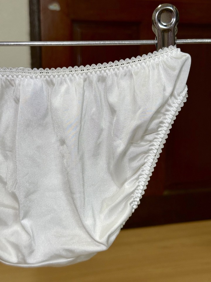 Vintage WACOAL Slippery White Nylon Panty Sheer Lace Bikini Hi Cut ...