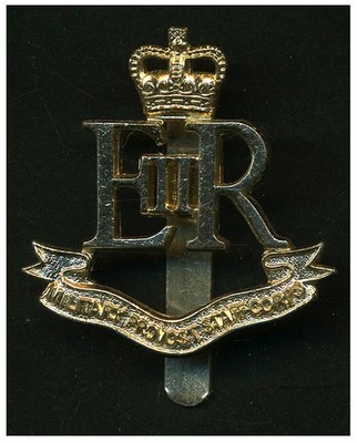 British Army Military Provost Staff Corps Anodized Badge MP L295 | eBay