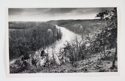 1984 Rocky River Davidson NC Nature Preserve Landscape Woods Vintage ...