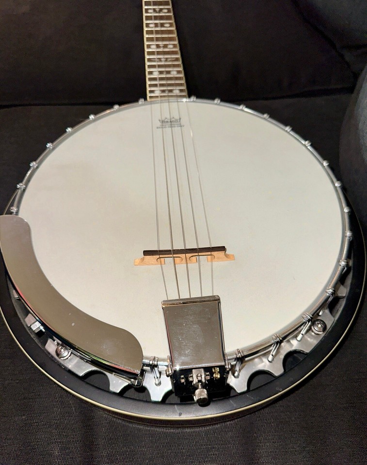 Fender FB-54 Five String Banjo, Mahogany Resonator, Aluminum Tone Ring ...