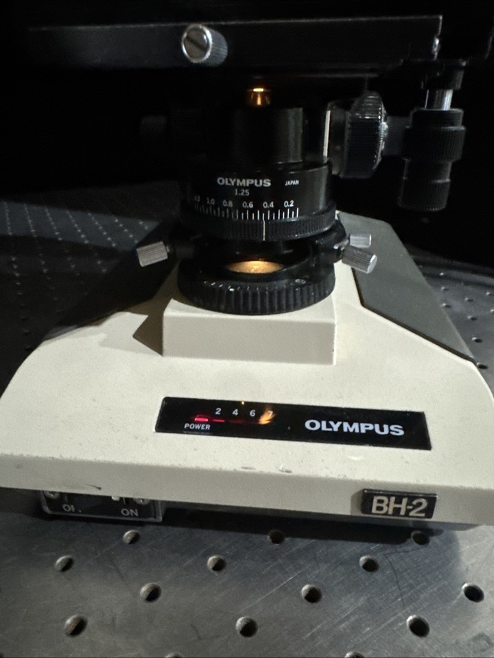 Olympus BH-2 BHTU Binocular Microscope | eBay